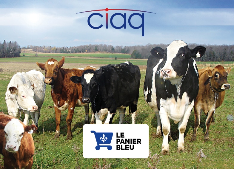 Ciaq | Un pilier du paysage agricole québécois.